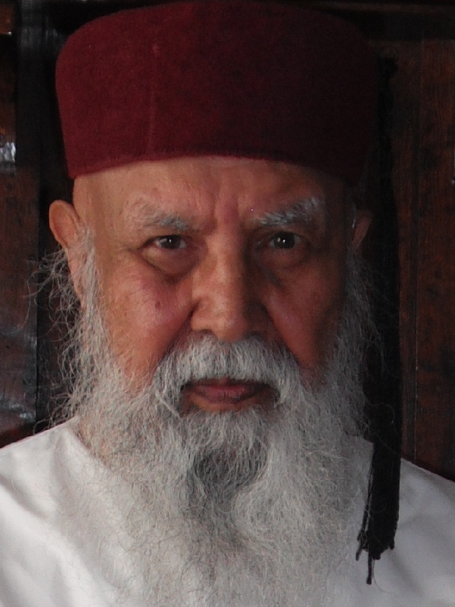 The Ismailis: From the Earliest Times to the Fall of the Fatimid Empire ...