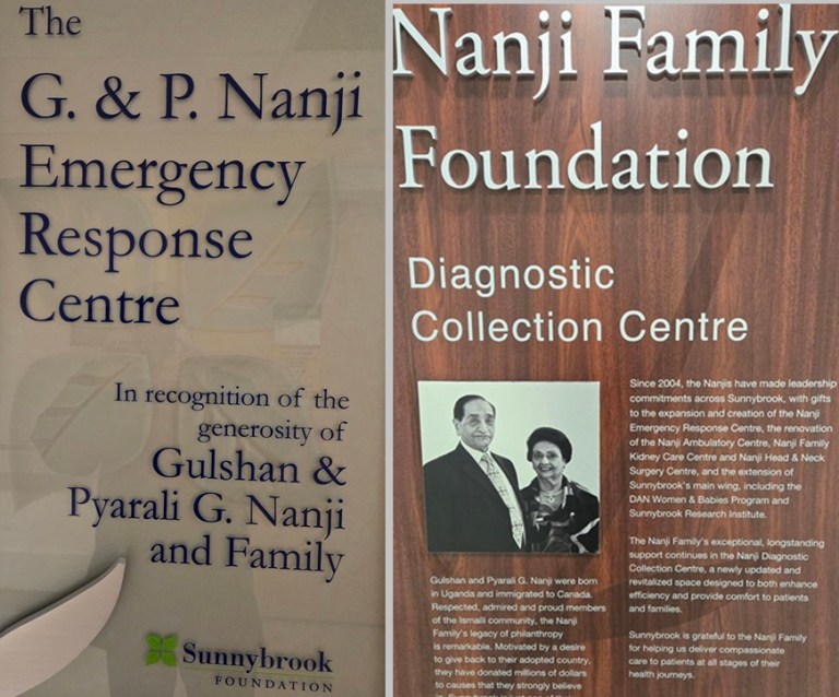 Remembering Pyarali Nanji: A Legacy of Philanthropy Simerg – Insights ...